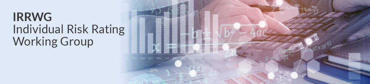 Individual Risk Rating Working Group (IRRWG Committee)